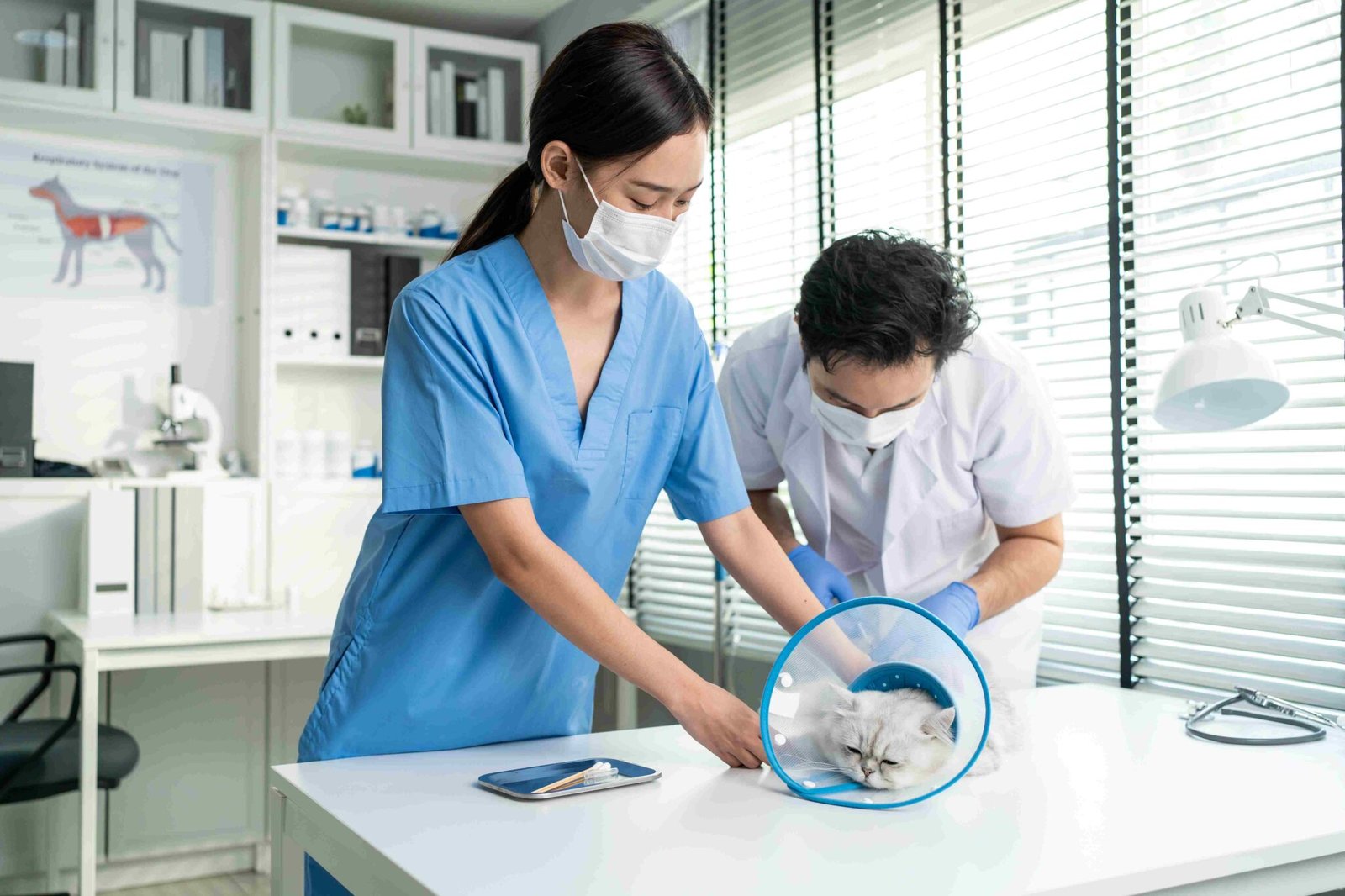 Why Bioveterinary Science is the Career We Should Care About